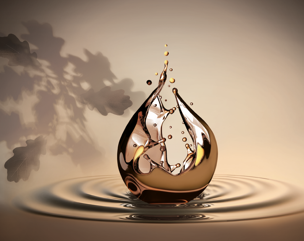 Boisé Absolu #6 | Vivelys