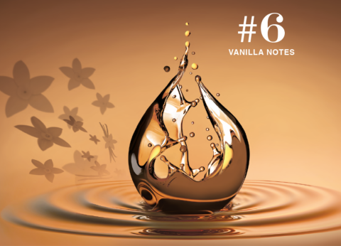 Boisé Absolu | Vivelys